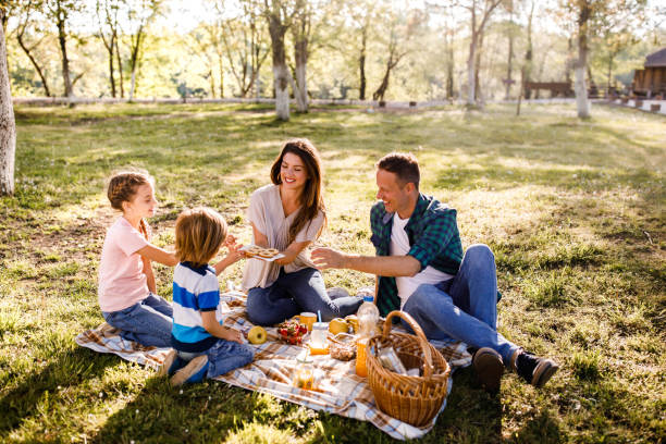 Four Great Tips on Keeping Bugs & Flies off your Babrbecue / Picnic th ...